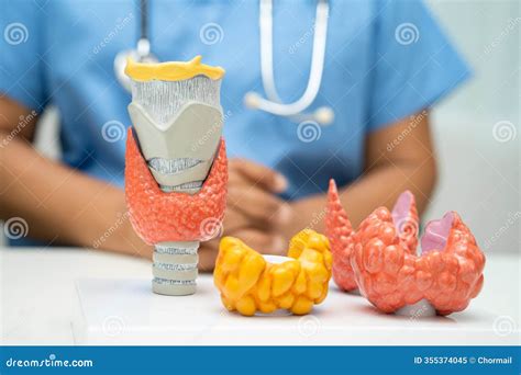 Hyperthyroidism Overactive Thyroid Thyroid Lymphoma Asian Doctor With Thyroid Gland Human
