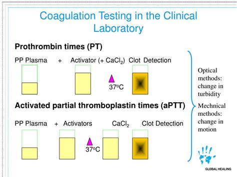 Ppt Factor Assays Powerpoint Presentation Free Download Id3758918