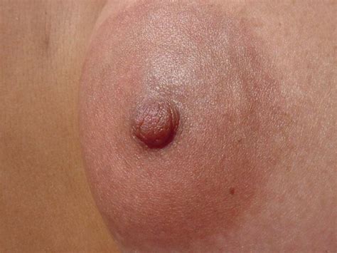 Half Korean With Great Tits Leepark