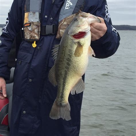 Bluegrass Bassmasters