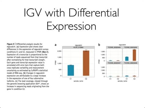 Galaxy Rna Seq Analysis Tuxedo Protocol