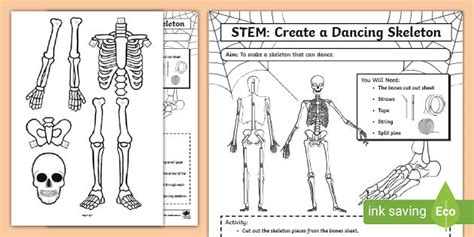 STEM Skeleton Activity Physics Primary Resources