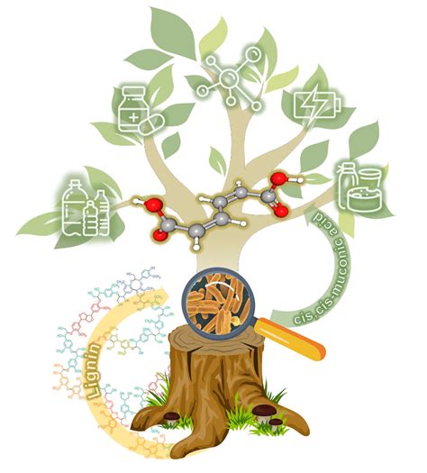 Catalysts Free Full Text Lignin Valorization Production Of High Value Added Compounds By