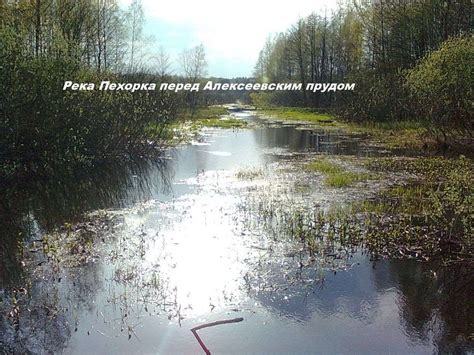 Река Пехорка - презентация онлайн