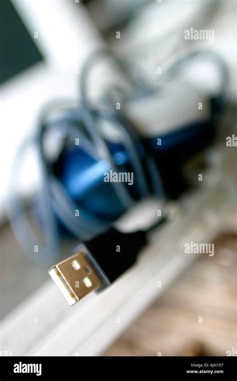 USB CONNECTION ON MOUSE Stock Photo Alamy