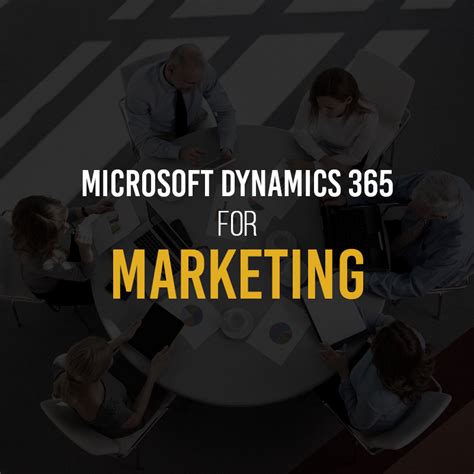 Dynamics 365 Customer Insights Consulting Services Alphabold