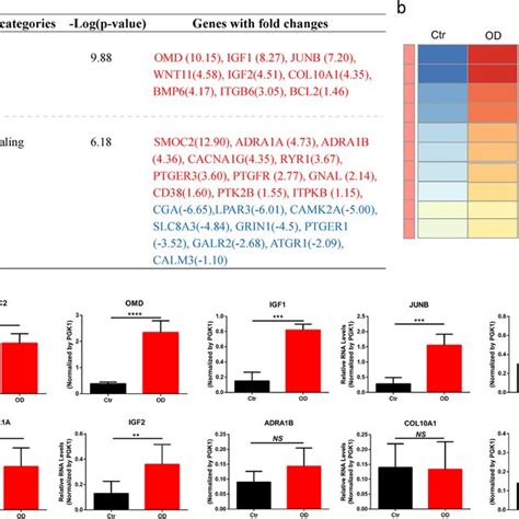 Osteogenic Related Signature Genes Profile In Hmsmscs A Interested Go