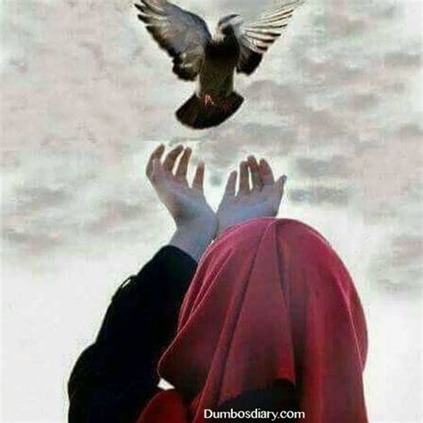 Dp For Muslim Girls In Arab Style Hijab For Social Media