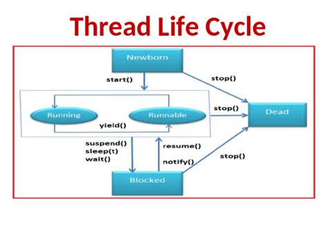 Thread Life Cycle Pdf