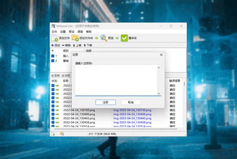 Renamer 软件 官方授权正版软件平台