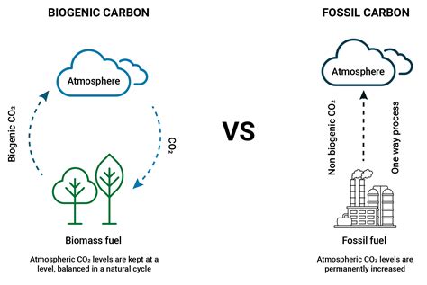 Biogenic Carbon Cycle Barden Biomass Ltd