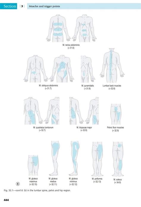 Musculoskeletalassessment Posturaleducation Posturalalignment Posturaltraining Biomechanics