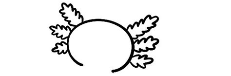 How To Draw An Axolotl Easy Steps Creating An Axolotl Drawing How To Draw An Axolotl Easy Steps Creating An Axolotl Drawing