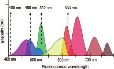 Example Of Spectral Overlap Occurring When Several Fluorescent Organic Download Scientific