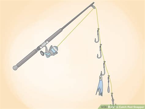 How To Catch Red Snapper With Pictures WikiHow Fitness