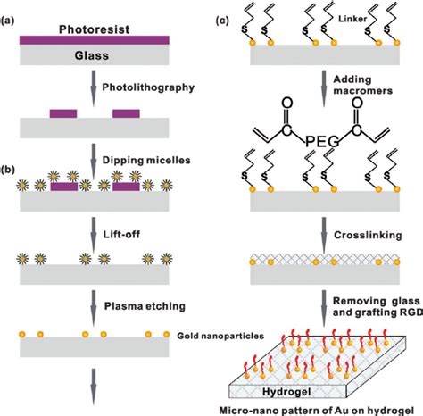 Schematic Presentation Of The Fabrication Of A Micro Nano Pattern Of