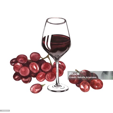 수채화 그림은 적포도주와 포도 한 잔입니다 흰색 배경에 격리된 알코올 음료의 사진 와인 리스트 라벨 배너 메뉴 브로셔 템플릿에
