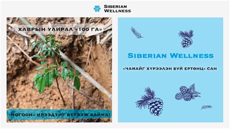 Хаврын улирал «100 га «ногоон ирээдүйг бүтээж байна Youtube