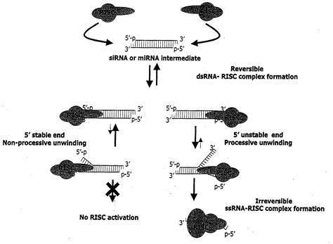 Screening Process Patented Technology Retrieval Search Results Eureka Patsnap