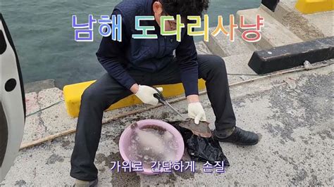 남쪽 투망여행 Youtube