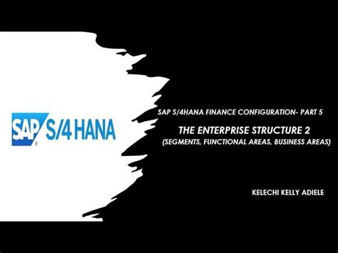 sap s 4hana fi configuration part 5 segments business areas credit