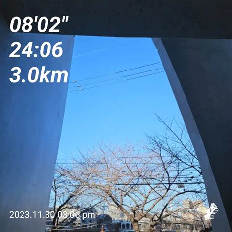 러닝크루 5일차 인증 마인드키 커뮤니티