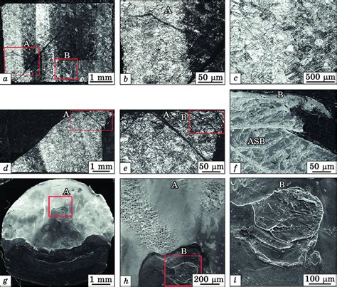 Microstructure Of Ti 15mo Alloy After The Shpb Experiments For Y Axis