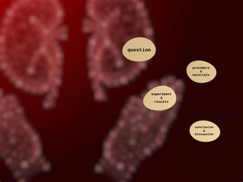 Trial By Mona Elsayed On Prezi