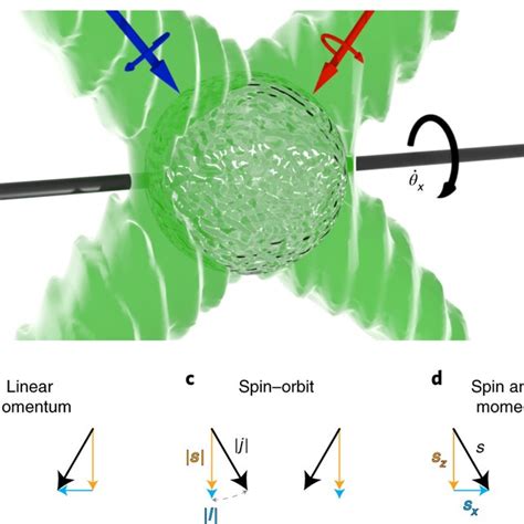 Transverse Angular Momentum Transfer To A Vaterite Particle And The