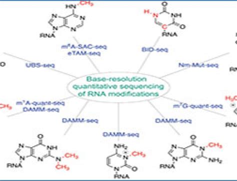 Single Cell Rna Sequencing Analysis A Step By Step Overview Rna Seq Blog