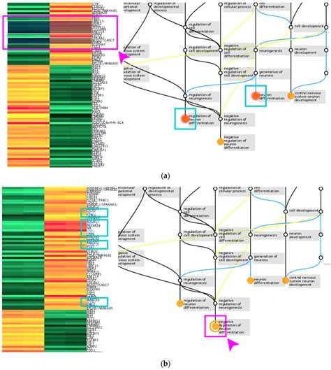 Degoviz An Interactive Visualization Tool For A Differentially Expressed Genes Heatmap And Gene