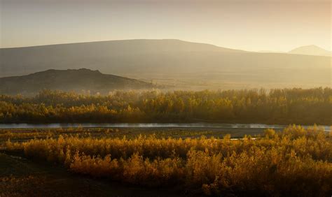 Armenian Forests Environmental Ngo Հայաստանի Անտառներ ՀԿ Added A New Armenian Forests