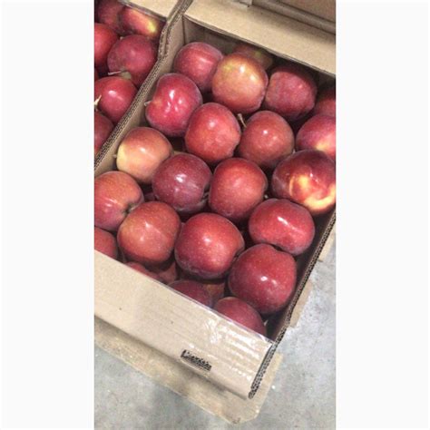 Яблоки оптом — Agro Kazakhstan