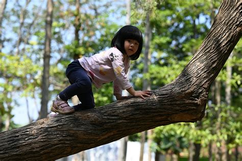 Liu Jian Qiang Fotografía
