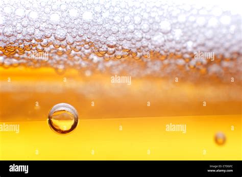 Why Does Beer Bubble From The Bottom At Horace Gant Blog