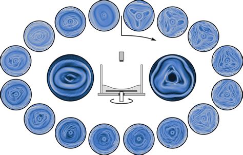 Finite Time Lyapunov Exponent Ftle Forward Time Integration Fields