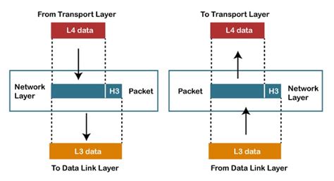 Functions Advantages And Disadvantages Of Network Layer Tpoint Tech