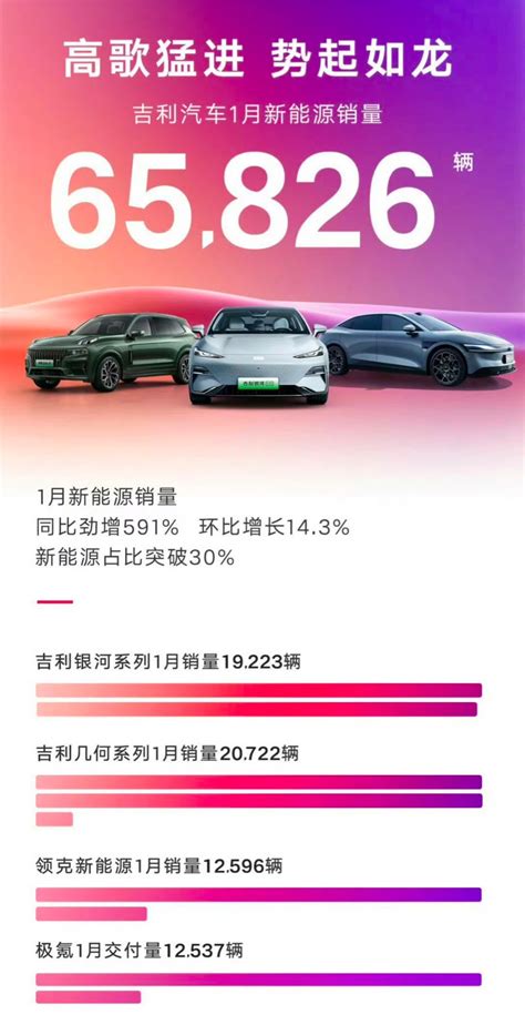 2024年1月新能源销量比亚迪破20万问界登顶新势力冠军 OFweek新能源汽车网