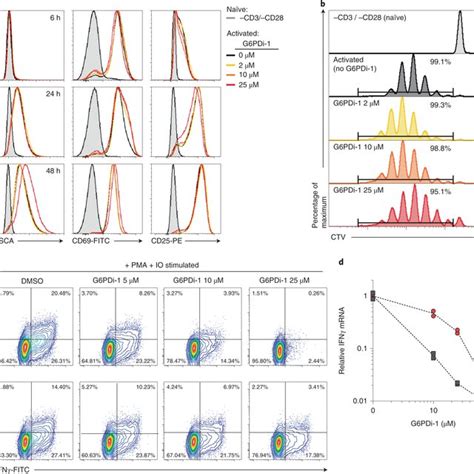 A Nonsteroidal Cell Active Inhibitor Of G6pd A Chemical Structures