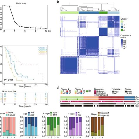 Consensus Clustering And Clinical Features Related To Mpm Alternative Download Scientific
