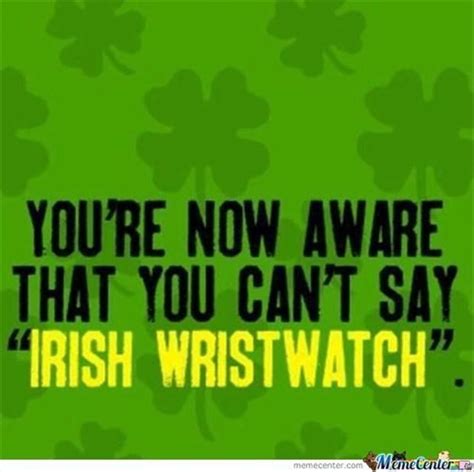 Being Irish Quotes Quotesgram