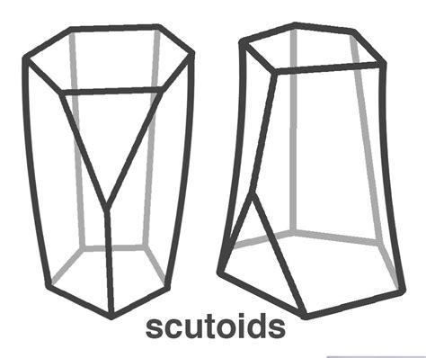 Geometry Has A New Shape Meet The Scutoid Live Science