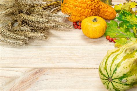 가을 장식 밀 곡물 귀 오렌지 호박 가을 말린 잎 붉은 열매와 도토리 나무 배경에 밤과 자연 수확 추수 감사절 할로윈 기념일 초대 카드 0명에 대한 스톡 사진 및 기타