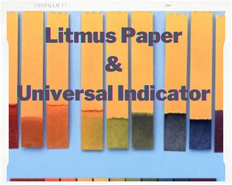 What Is Indicator Litmus Paper At Betty Dean Blog