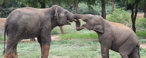 Cnpg Recipe 13 Configuring Postgresql Synchronous Replication · Unleashing The Power Of