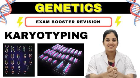 GENETICS Karyotyping Basics Procedure Application MedSeed MBBS YouTube
