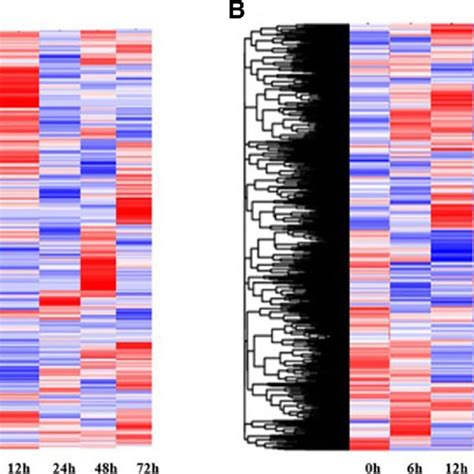 analyses of differentially expressed lncrnas and protein coding genes