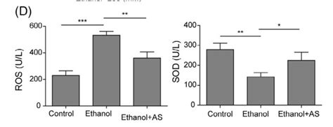 Ros活性氧（ros）檢測分析 Reactive Oxygen Species Ros Detection Assay Kit 貨號ktb1910