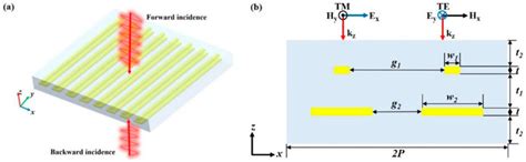 A Schematic Illustration Of The Polarization Selective Bidirectional