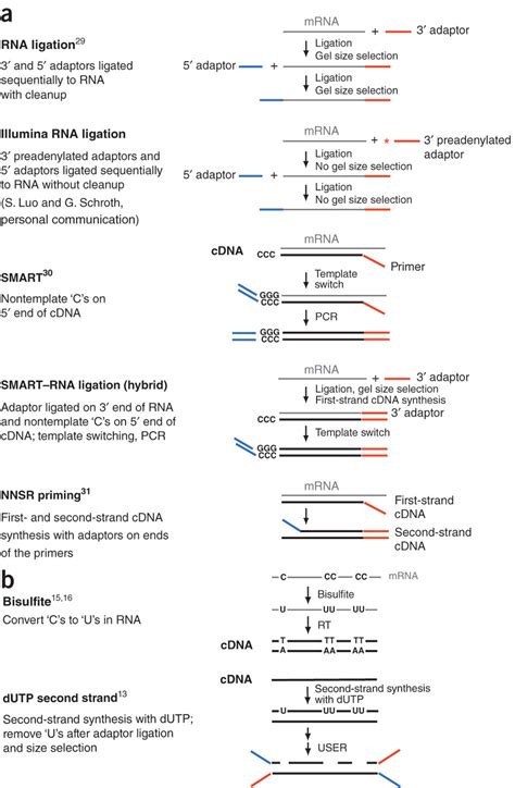 Galaxy Rna Seq